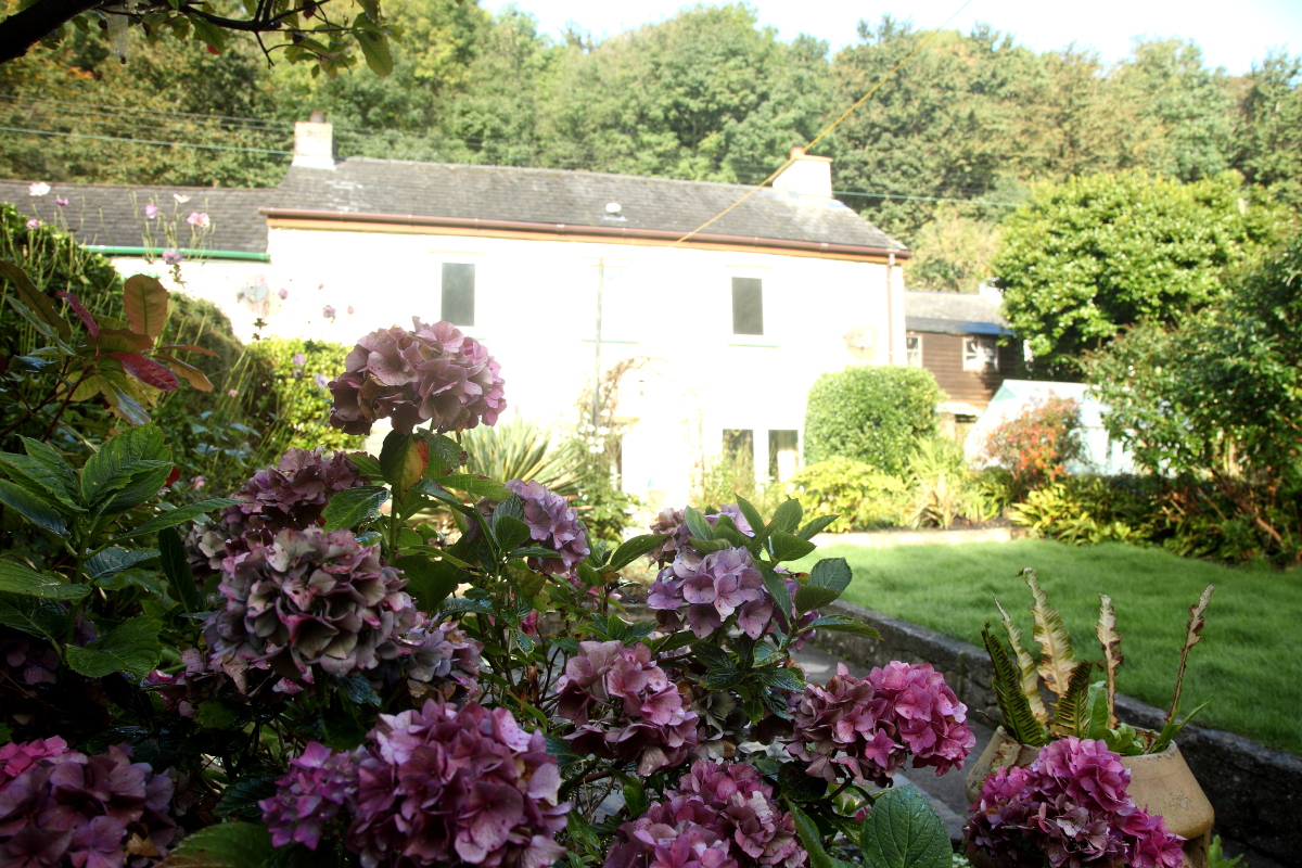 Pretty Cottage - SolvaSolva